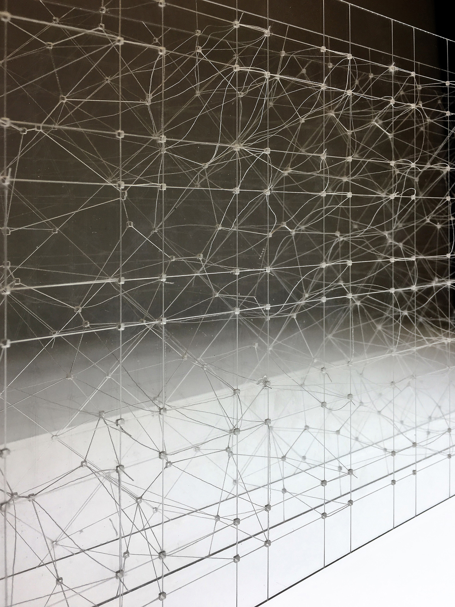 future form finding lab.